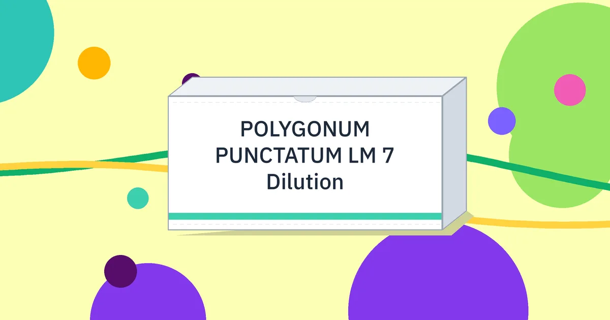 Symbolbild: Packung mit der Aufschrift POLYGONUM PUNCTATUM LM 7 Dilution (PZN 13662808) – Verfügbarkeit und Bezug in Apotheken in Frankfurt am Main