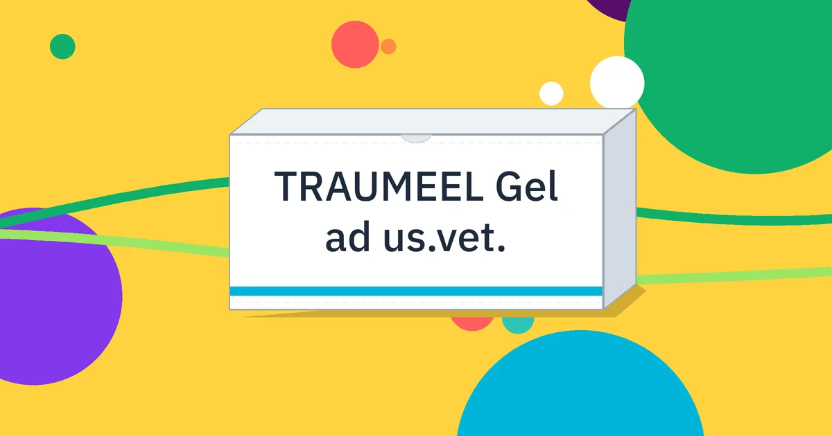 Symbolbild: Packung mit der Aufschrift TRAUMEEL Gel ad us.vet. (PZN 11013454) – Verfügbarkeit und Bezug in Apotheken in Frankfurt am Main