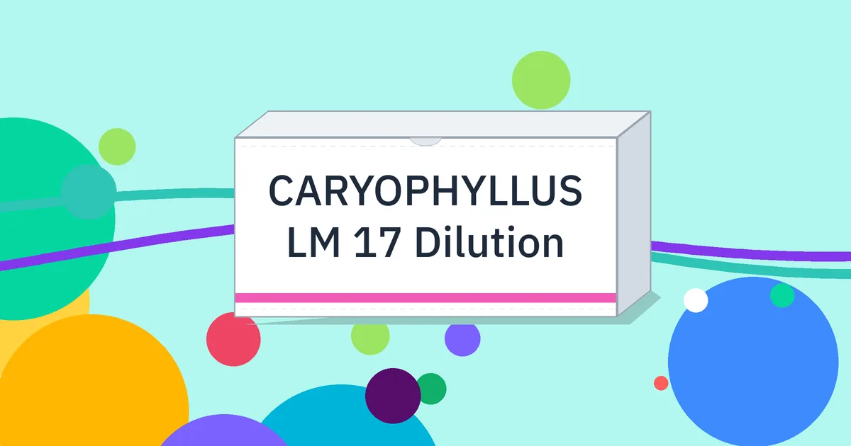 Symbolbild: Packung mit der Aufschrift CARYOPHYLLUS LM 17 Dilution (PZN 13432008) – Verfügbarkeit und Bezug in Apotheken in Frankfurt am Main