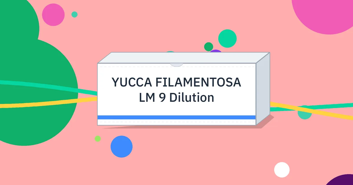 Symbolbild: Packung mit der Aufschrift YUCCA FILAMENTOSA LM 9 Dilution (PZN 13288675) – Verfügbarkeit und Bezug in Apotheken in Frankfurt am Main
