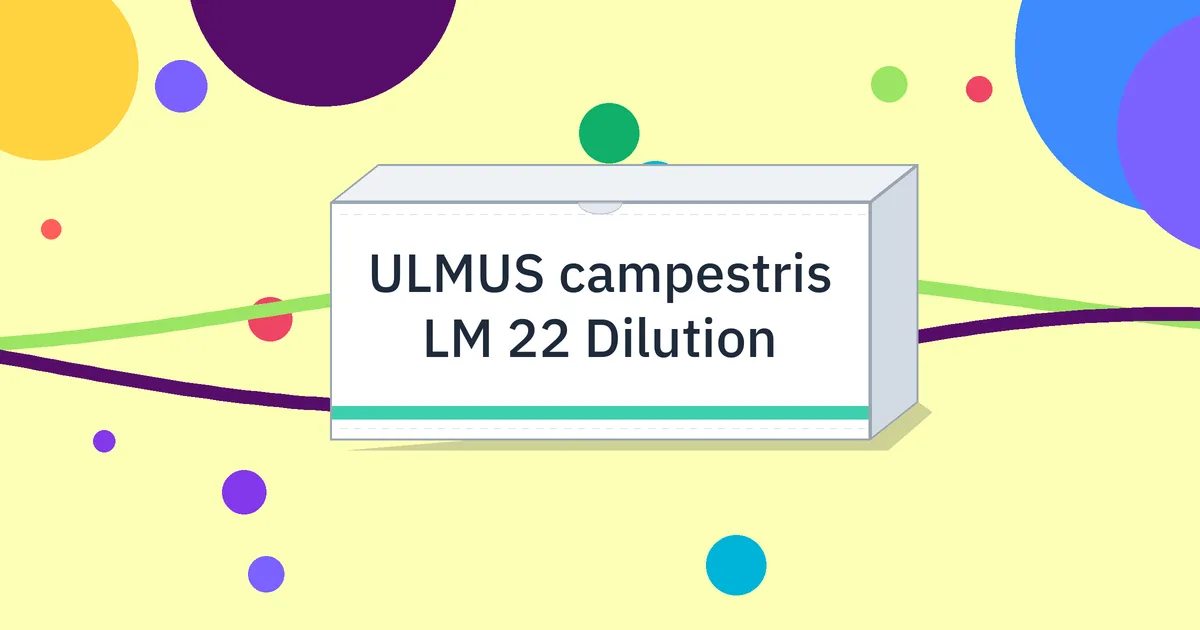 Symbolbild: Packung mit der Aufschrift ULMUS campestris LM 22 Dilution (PZN 13255434) – Verfügbarkeit und Bezug in Apotheken in Frankfurt am Main
