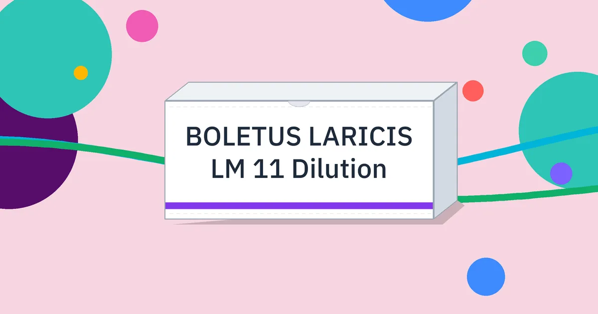 Symbolbild: Packung mit der Aufschrift BOLETUS LARICIS LM 11 Dilution (PZN 13391255) – Verfügbarkeit und Bezug in Apotheken in Frankfurt am Main