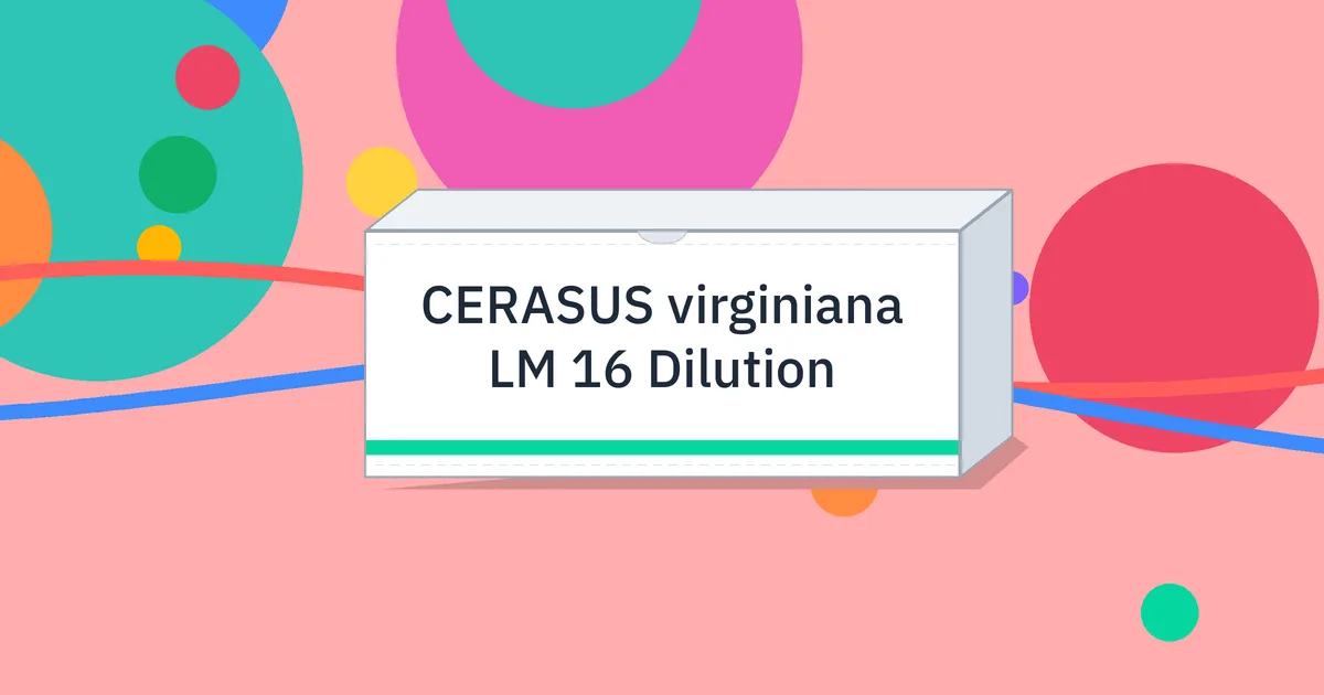 Symbolbild: Packung mit der Aufschrift CERASUS virginiana LM 16 Dilution (PZN 13436673) – Verfügbarkeit und Bezug in Apotheken in Frankfurt am Main