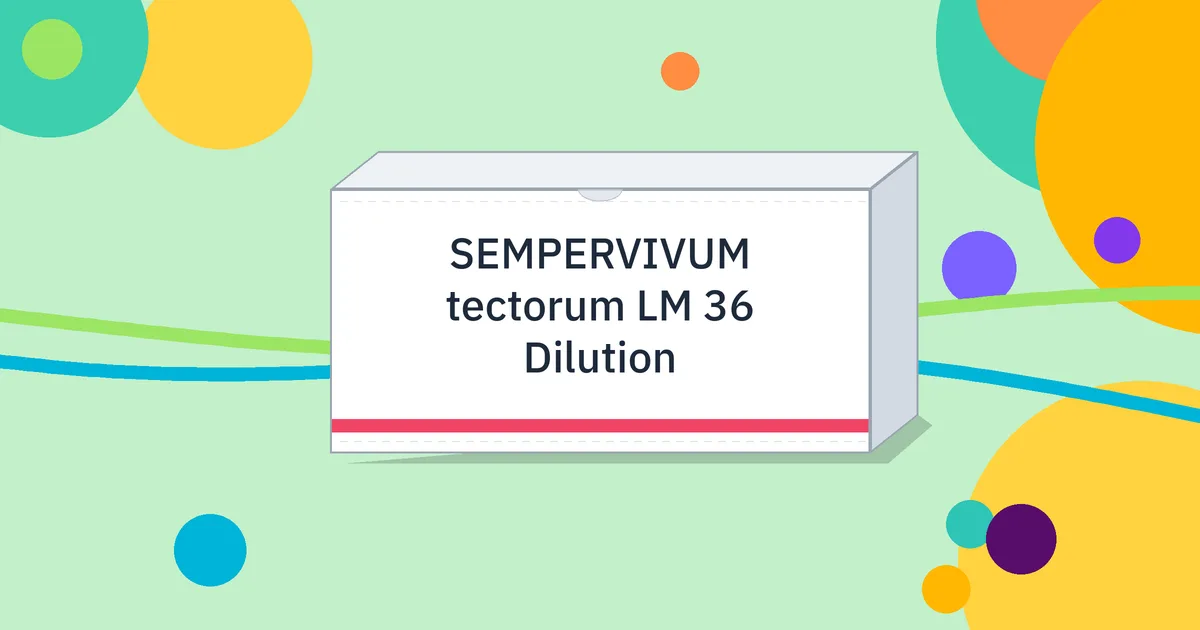 Symbolbild: Packung mit der Aufschrift SEMPERVIVUM tectorum LM 36 Dilution (PZN 13186437) – Verfügbarkeit und Bezug in Apotheken in Frankfurt am Main