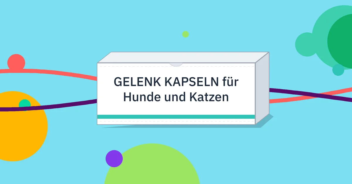 Symbolbild: Packung mit der Aufschrift GELENK KAPSELN für Hunde und Katzen (PZN 09735329) – Verfügbarkeit und Bezug in Apotheken in Frankfurt am Main