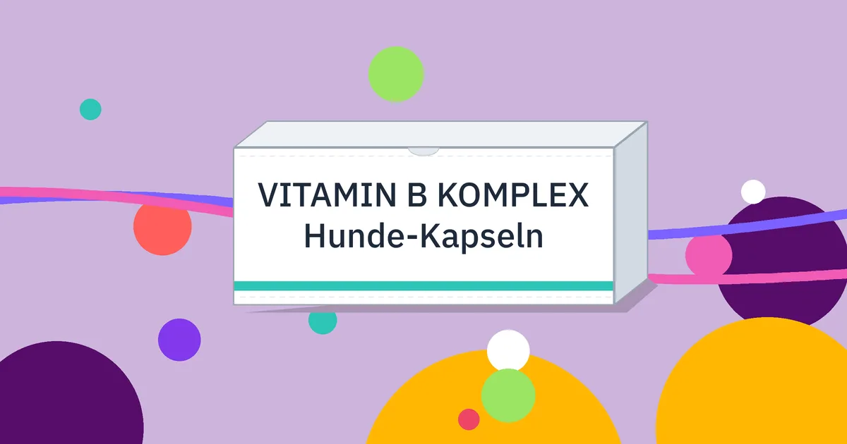 Symbolbild: Packung mit der Aufschrift VITAMIN B KOMPLEX Hunde-Kapseln (PZN 10842036) – Verfügbarkeit und Bezug in Apotheken in Frankfurt am Main
