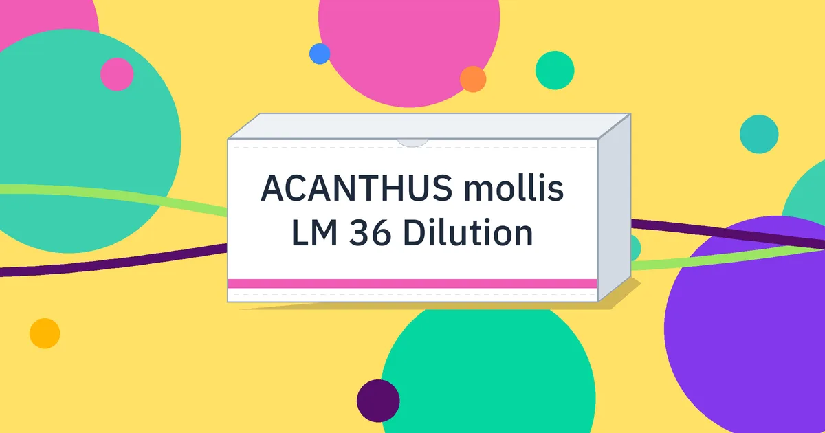 Symbolbild: Packung mit der Aufschrift ACANTHUS mollis LM 36 Dilution (PZN 13263681) – Verfügbarkeit und Bezug in Apotheken in Frankfurt am Main