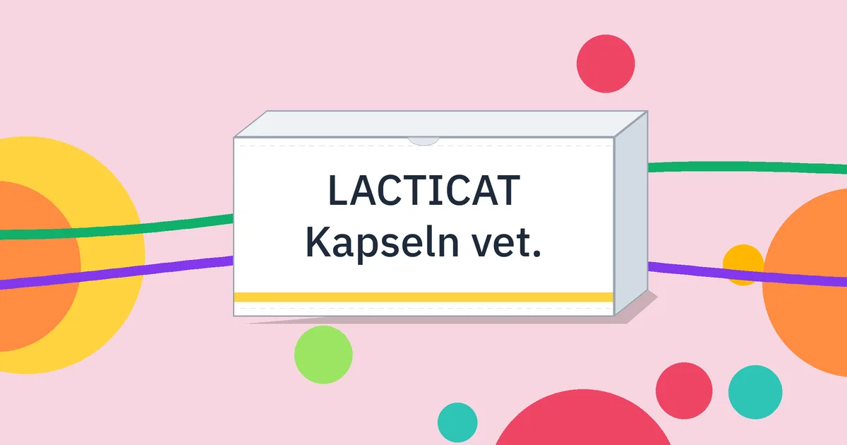 Symbolbild: Packung mit der Aufschrift LACTICAT Kapseln vet. (PZN 00436329) – Verfügbarkeit und Bezug in Apotheken in Frankfurt am Main