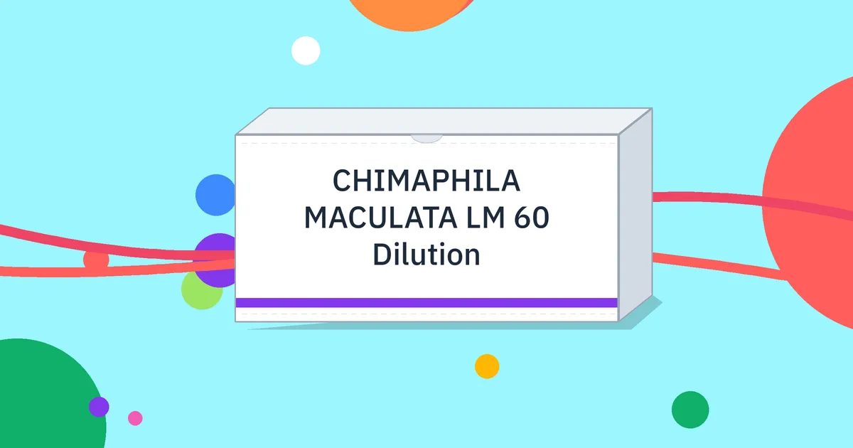 Symbolbild: Packung mit der Aufschrift CHIMAPHILA MACULATA LM 60 Dilution (PZN 13442024) – Verfügbarkeit und Bezug in Apotheken in Frankfurt am Main