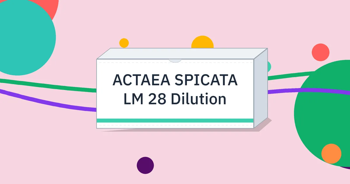 Symbolbild: Packung mit der Aufschrift ACTAEA SPICATA LM 28 Dilution (PZN 13293908) – Verfügbarkeit und Bezug in Apotheken in Frankfurt am Main