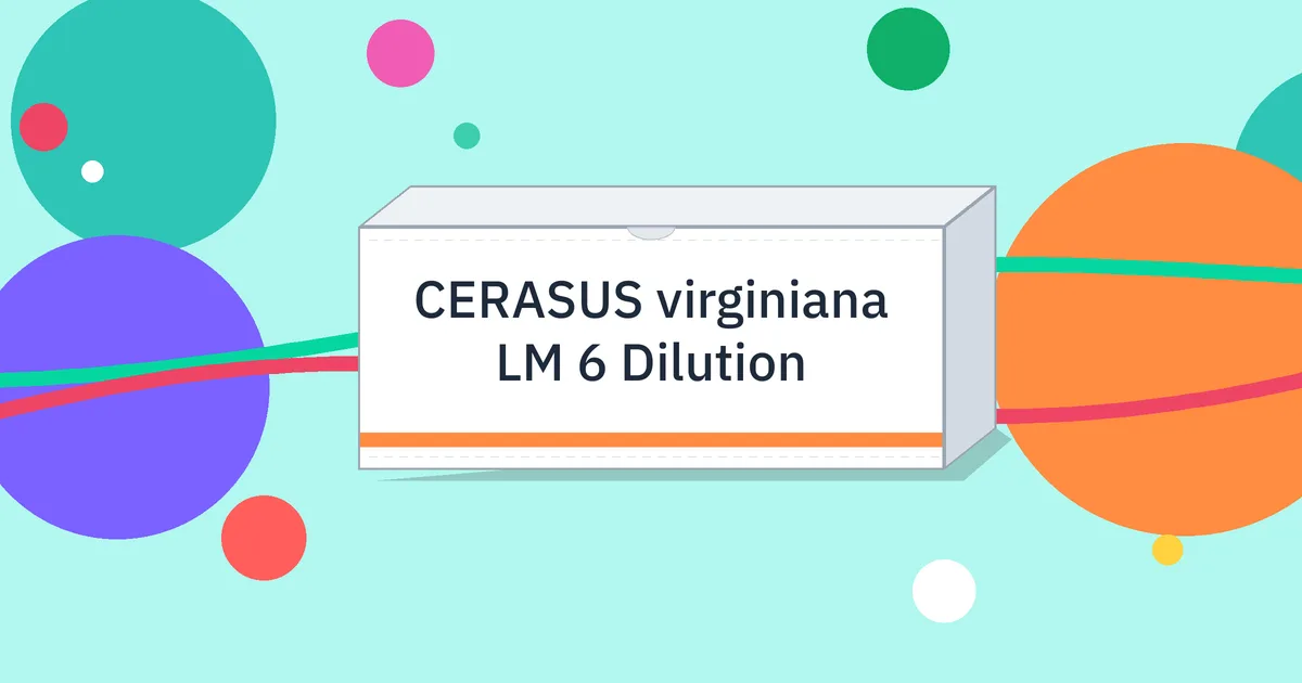 Symbolbild: Packung mit der Aufschrift CERASUS virginiana LM 6 Dilution (PZN 13436555) – Verfügbarkeit und Bezug in Apotheken in Frankfurt am Main