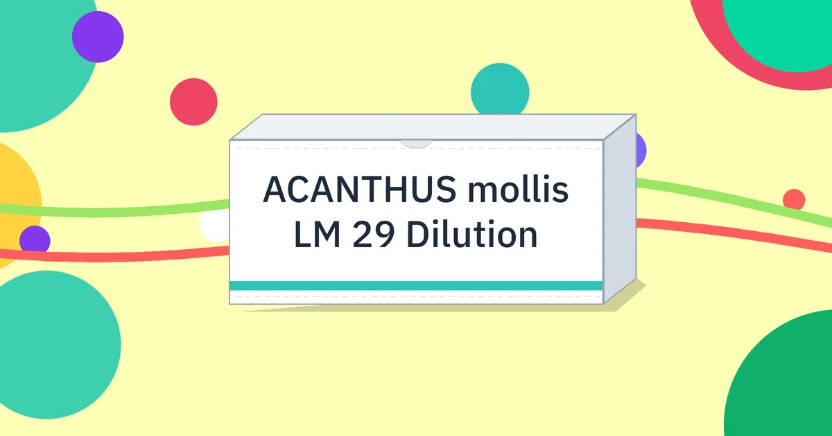 Symbolbild: Packung mit der Aufschrift ACANTHUS mollis LM 29 Dilution (PZN 13263617) – Verfügbarkeit und Bezug in Apotheken in Frankfurt am Main