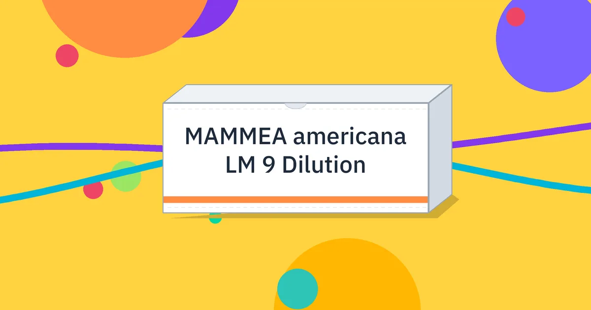 Symbolbild: Packung mit der Aufschrift MAMMEA americana LM 9 Dilution (PZN 13540301) – Verfügbarkeit und Bezug in Apotheken in Frankfurt am Main