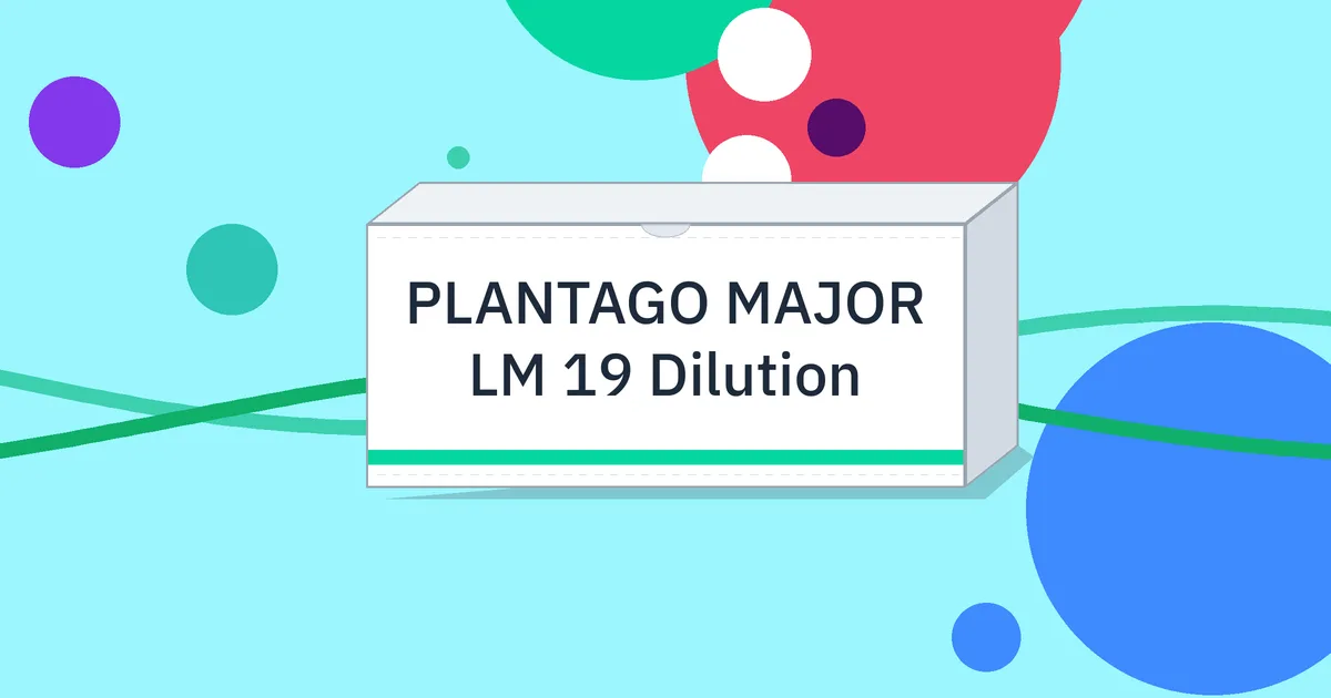 Symbolbild: Packung mit der Aufschrift PLANTAGO MAJOR LM 19 Dilution (PZN 13646784) – Verfügbarkeit und Bezug in Apotheken in Frankfurt am Main