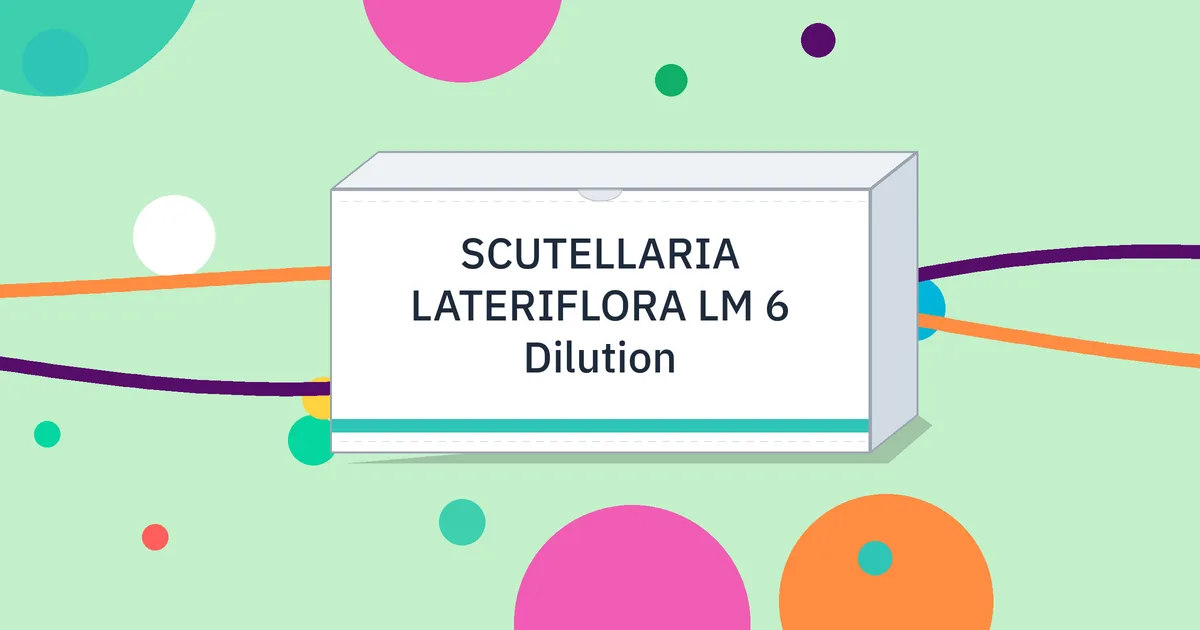 Symbolbild: Packung mit der Aufschrift SCUTELLARIA LATERIFLORA LM 6 Dilution (PZN 13184852) – Verfügbarkeit und Bezug in Apotheken in Frankfurt am Main