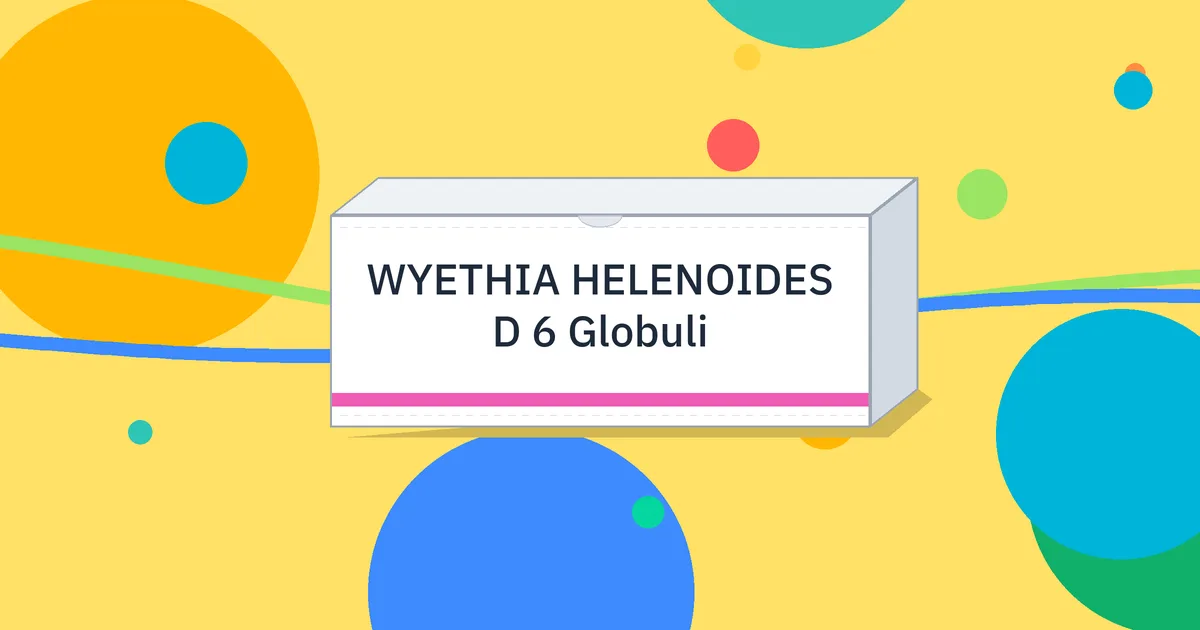 Symbolbild: Packung mit der Aufschrift WYETHIA HELENOIDES D 6 Globuli (PZN 07183653) – Verfügbarkeit und Bezug in Apotheken in Frankfurt am Main
