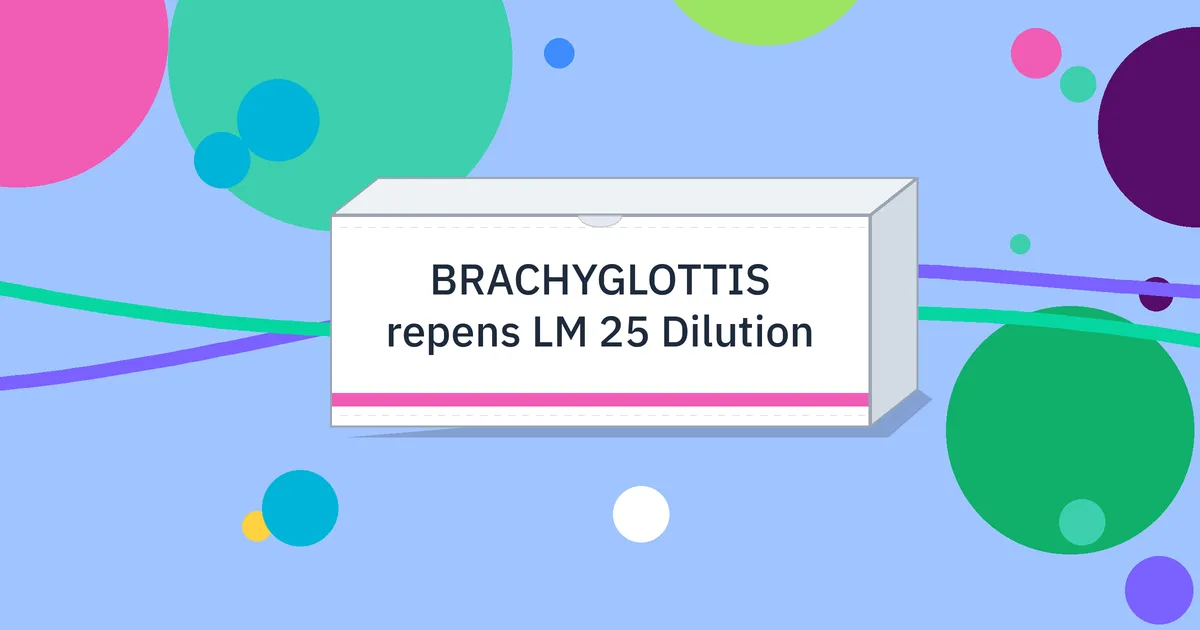 Symbolbild: Packung mit der Aufschrift BRACHYGLOTTIS repens LM 25 Dilution (PZN 13395170) – Verfügbarkeit und Bezug in Apotheken in Frankfurt am Main
