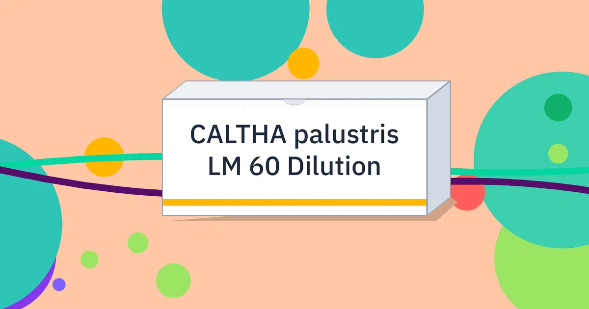 Symbolbild: Packung mit der Aufschrift CALTHA palustris LM 60 Dilution (PZN 13411845) – Verfügbarkeit und Bezug in Apotheken in Frankfurt am Main