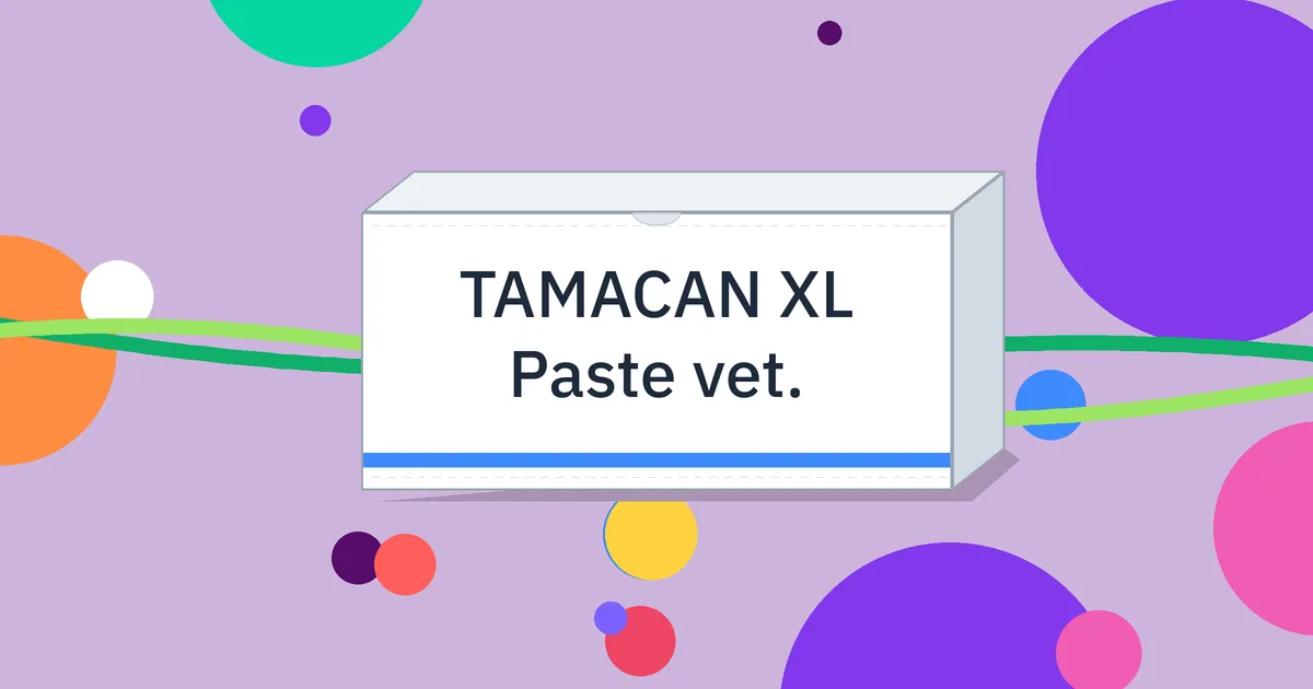 Symbolbild: Packung mit der Aufschrift TAMACAN XL Paste vet. (PZN 19845361) – Verfügbarkeit und Bezug in Apotheken in Frankfurt am Main