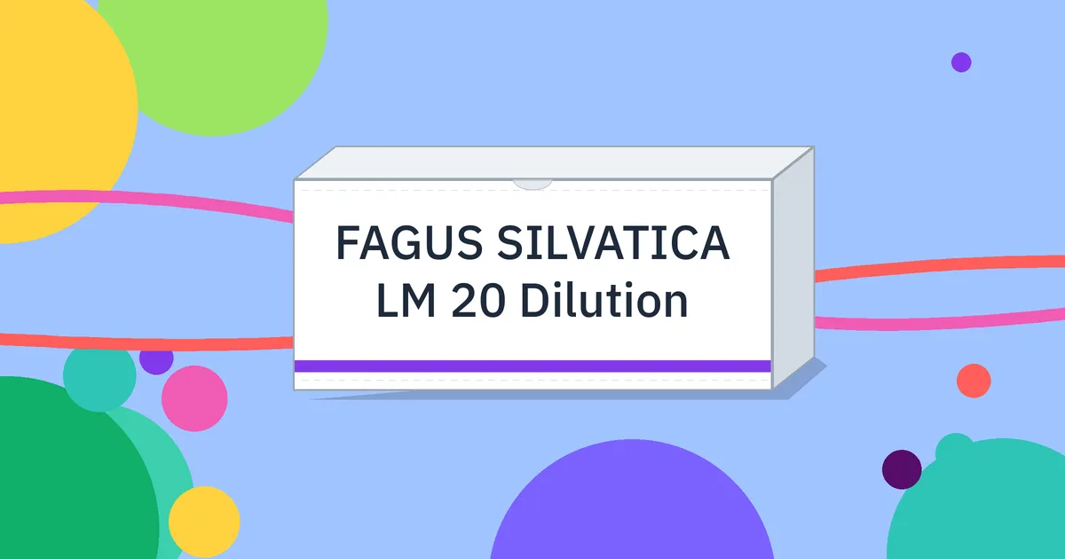 Symbolbild: Packung mit der Aufschrift FAGUS SILVATICA LM 20 Dilution (PZN 13487044) – Verfügbarkeit und Bezug in Apotheken in Frankfurt am Main
