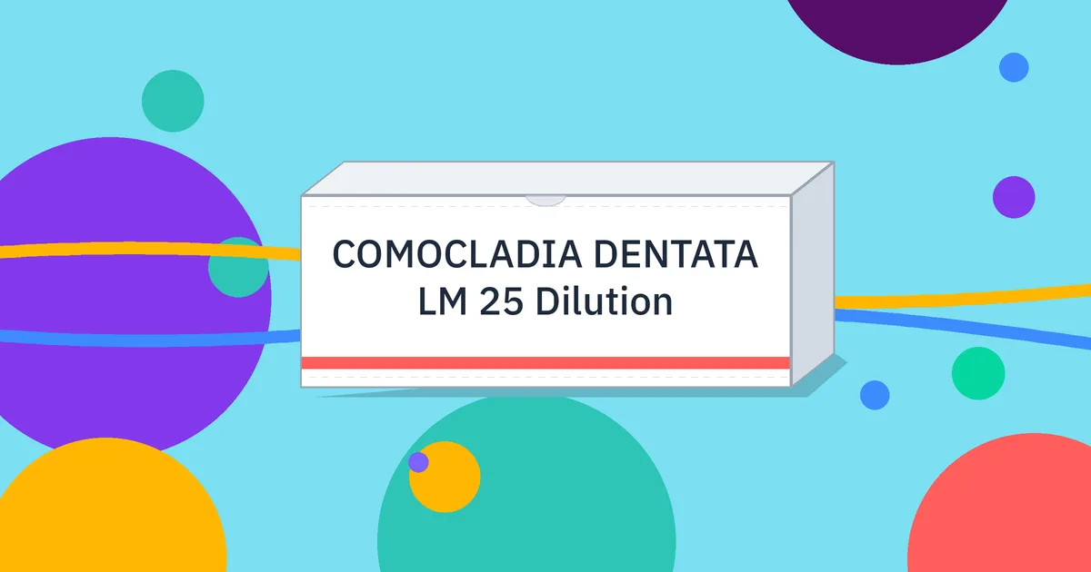 Symbolbild: Packung mit der Aufschrift COMOCLADIA DENTATA LM 25 Dilution (PZN 13449397) – Verfügbarkeit und Bezug in Apotheken in Frankfurt am Main