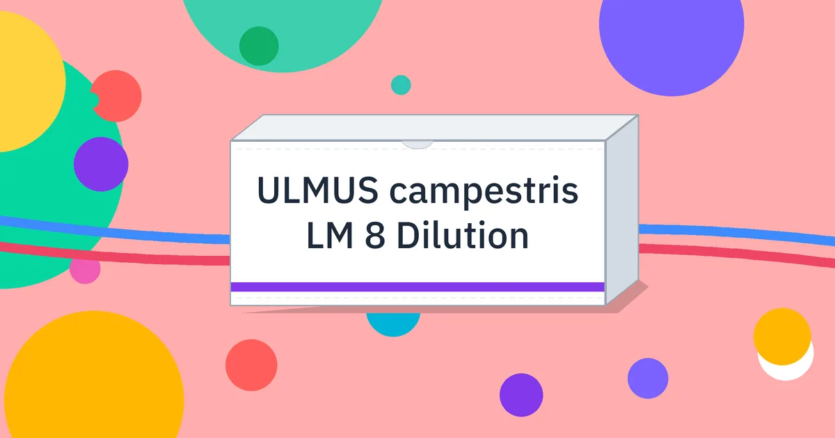 Symbolbild: Packung mit der Aufschrift ULMUS campestris LM 8 Dilution (PZN 13255256) – Verfügbarkeit und Bezug in Apotheken in Frankfurt am Main