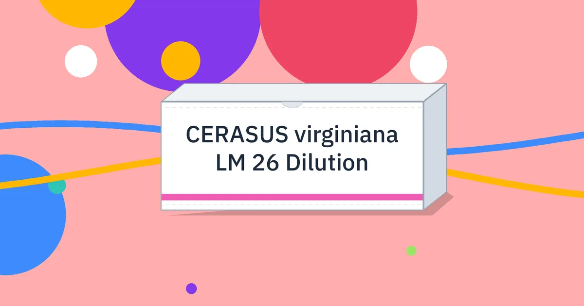 Symbolbild: Packung mit der Aufschrift CERASUS virginiana LM 26 Dilution (PZN 13436816) – Verfügbarkeit und Bezug in Apotheken in Frankfurt am Main