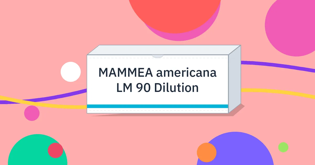 Symbolbild: Packung mit der Aufschrift MAMMEA americana LM 90 Dilution (PZN 13540620) – Verfügbarkeit und Bezug in Apotheken in Frankfurt am Main