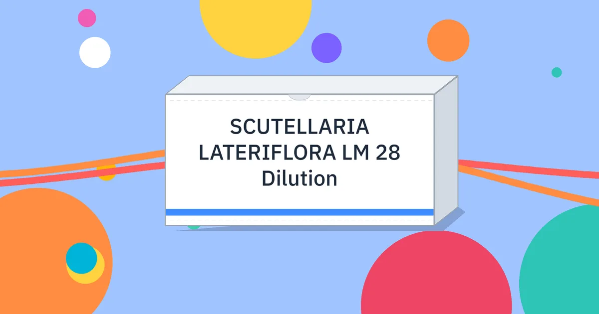 Symbolbild: Packung mit der Aufschrift SCUTELLARIA LATERIFLORA LM 28 Dilution (PZN 13185113) – Verfügbarkeit und Bezug in Apotheken in Frankfurt am Main