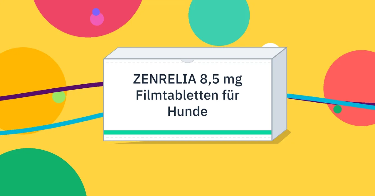 Symbolbild: Packung mit der Aufschrift ZENRELIA 8,5 mg Filmtabletten für Hunde (PZN 19711382) – Verfügbarkeit und Bezug in Apotheken in Frankfurt am Main