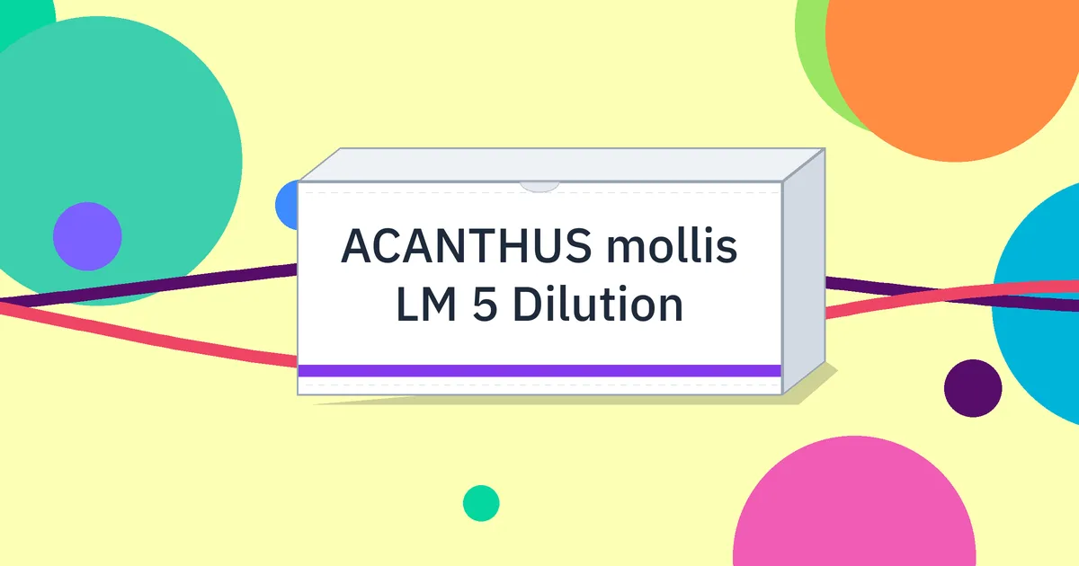 Symbolbild: Packung mit der Aufschrift ACANTHUS mollis LM 5 Dilution (PZN 13263095) – Verfügbarkeit und Bezug in Apotheken in Frankfurt am Main