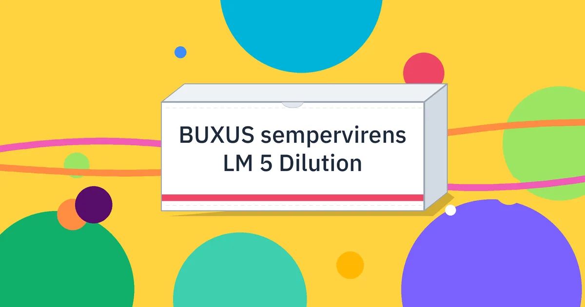 Symbolbild: Packung mit der Aufschrift BUXUS sempervirens LM 5 Dilution (PZN 13399038) – Verfügbarkeit und Bezug in Apotheken in Frankfurt am Main
