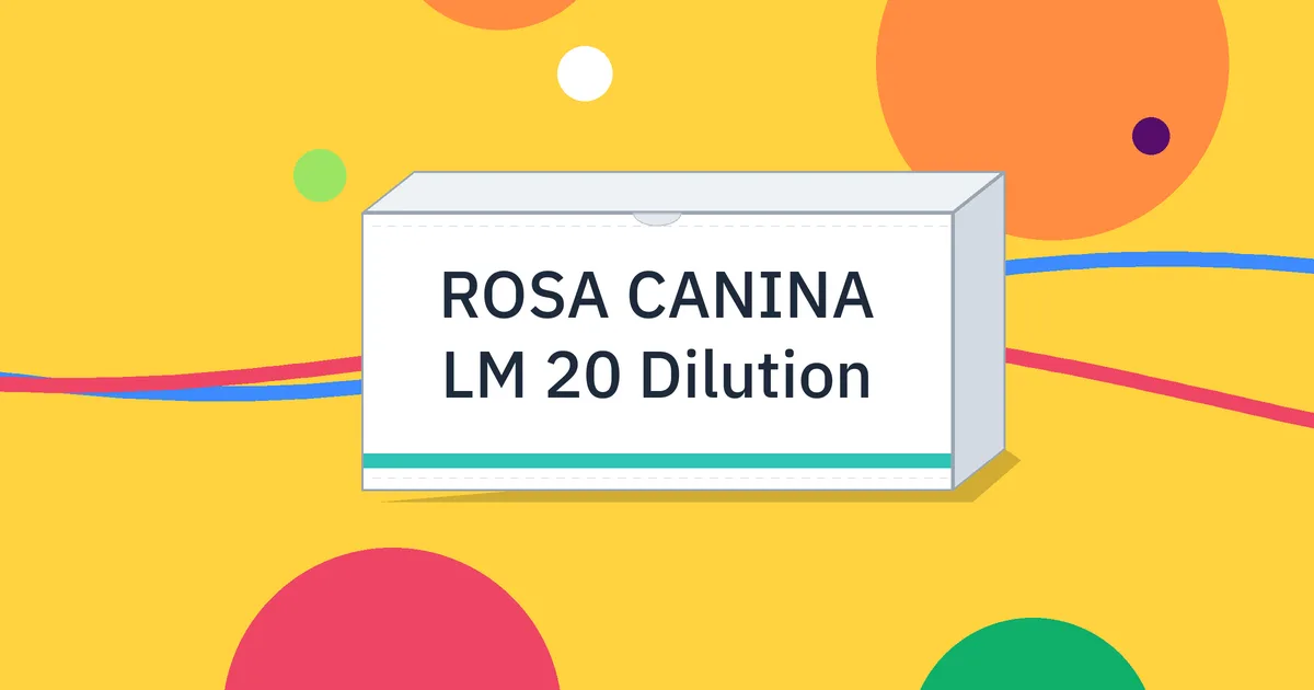 Symbolbild: Packung mit der Aufschrift ROSA CANINA LM 20 Dilution (PZN 13055451) – Verfügbarkeit und Bezug in Apotheken in Frankfurt am Main