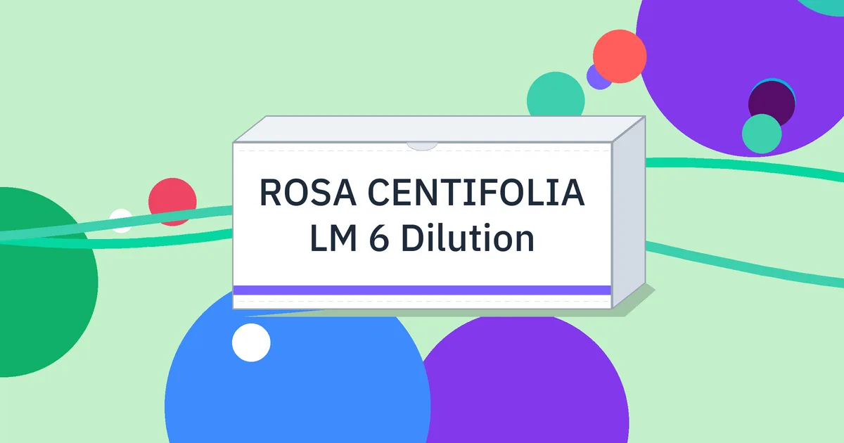 Symbolbild: Packung mit der Aufschrift ROSA CENTIFOLIA LM 6 Dilution (PZN 13055735) – Verfügbarkeit und Bezug in Apotheken in Frankfurt am Main