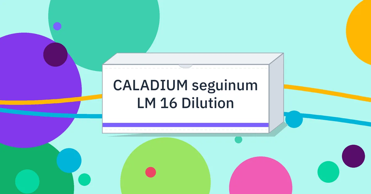 Symbolbild: Packung mit der Aufschrift CALADIUM seguinum LM 16 Dilution (PZN 13403975) – Verfügbarkeit und Bezug in Apotheken in Frankfurt am Main