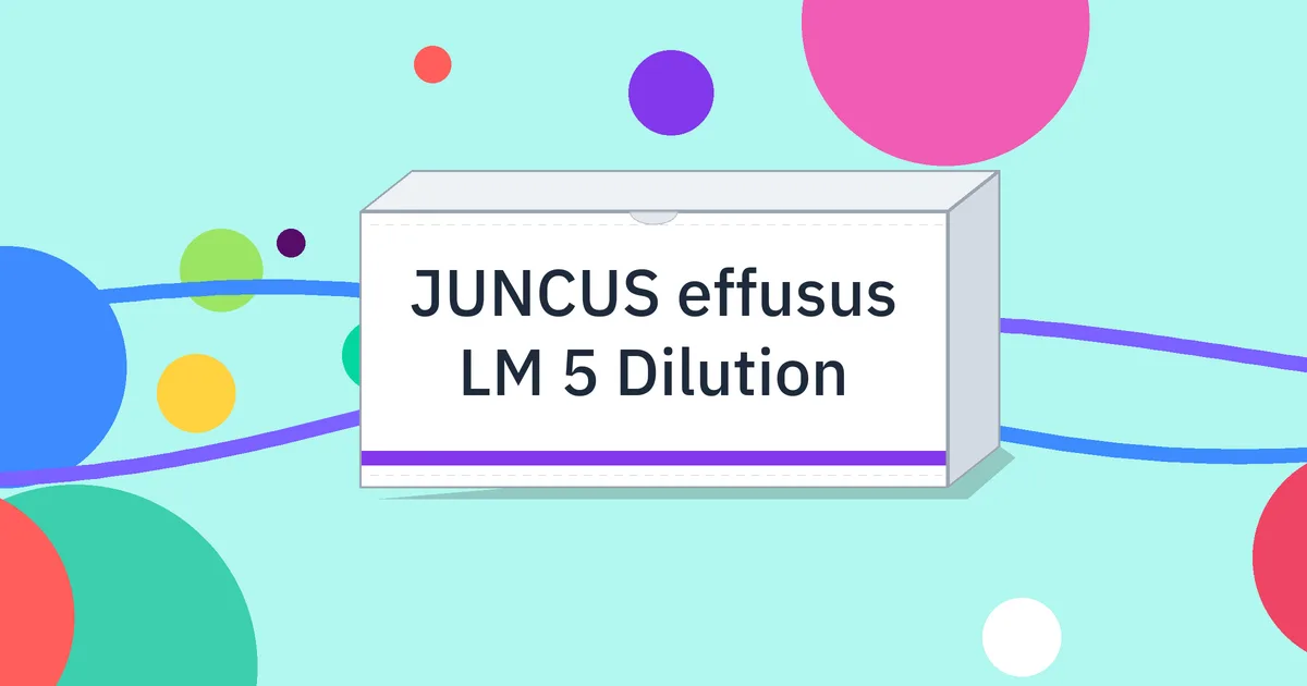 Symbolbild: Packung mit der Aufschrift JUNCUS effusus LM 5 Dilution (PZN 13564081) – Verfügbarkeit und Bezug in Apotheken in Frankfurt am Main