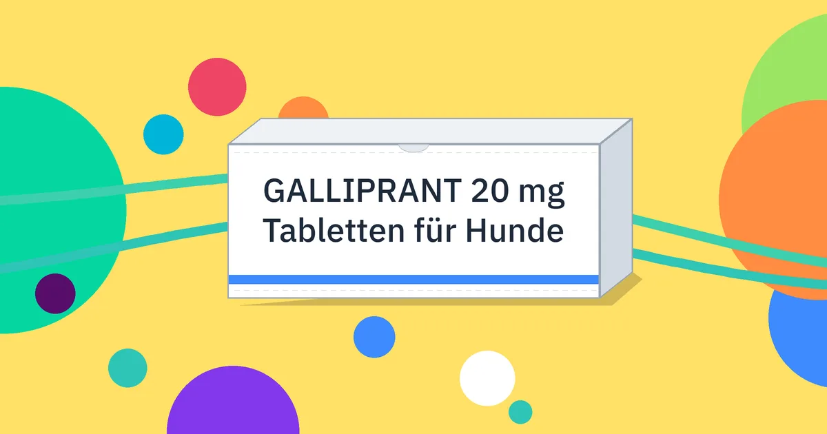 Symbolbild: Packung mit der Aufschrift GALLIPRANT 20 mg Tabletten für Hunde (PZN 16165631) – Verfügbarkeit und Bezug in Apotheken in Frankfurt am Main