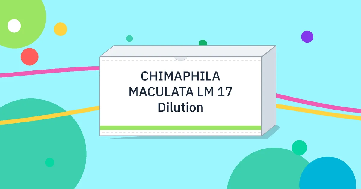 Symbolbild: Packung mit der Aufschrift CHIMAPHILA MACULATA LM 17 Dilution (PZN 13441823) – Verfügbarkeit und Bezug in Apotheken in Frankfurt am Main