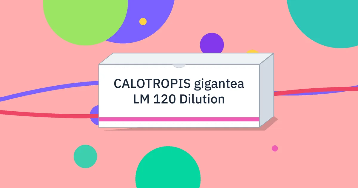 Symbolbild: Packung mit der Aufschrift CALOTROPIS gigantea LM 120 Dilution (PZN 13411437) – Verfügbarkeit und Bezug in Apotheken in Frankfurt am Main