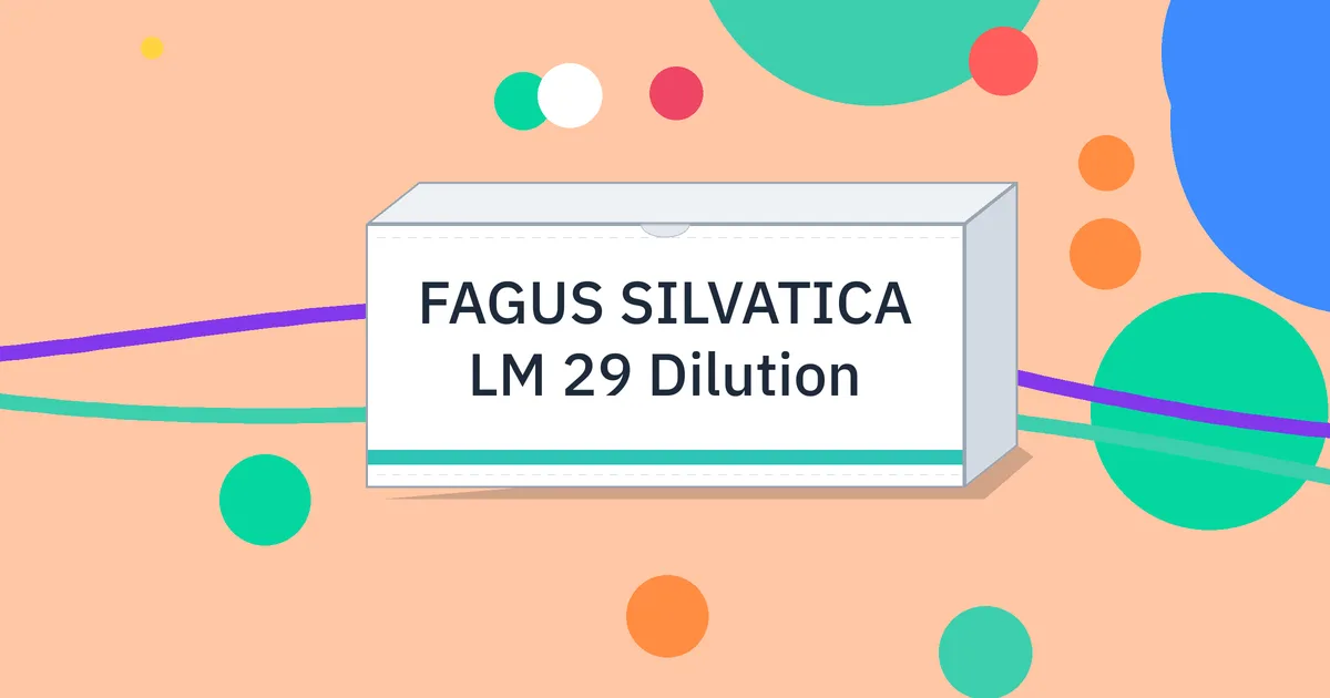 Symbolbild: Packung mit der Aufschrift FAGUS SILVATICA LM 29 Dilution (PZN 13487179) – Verfügbarkeit und Bezug in Apotheken in Frankfurt am Main