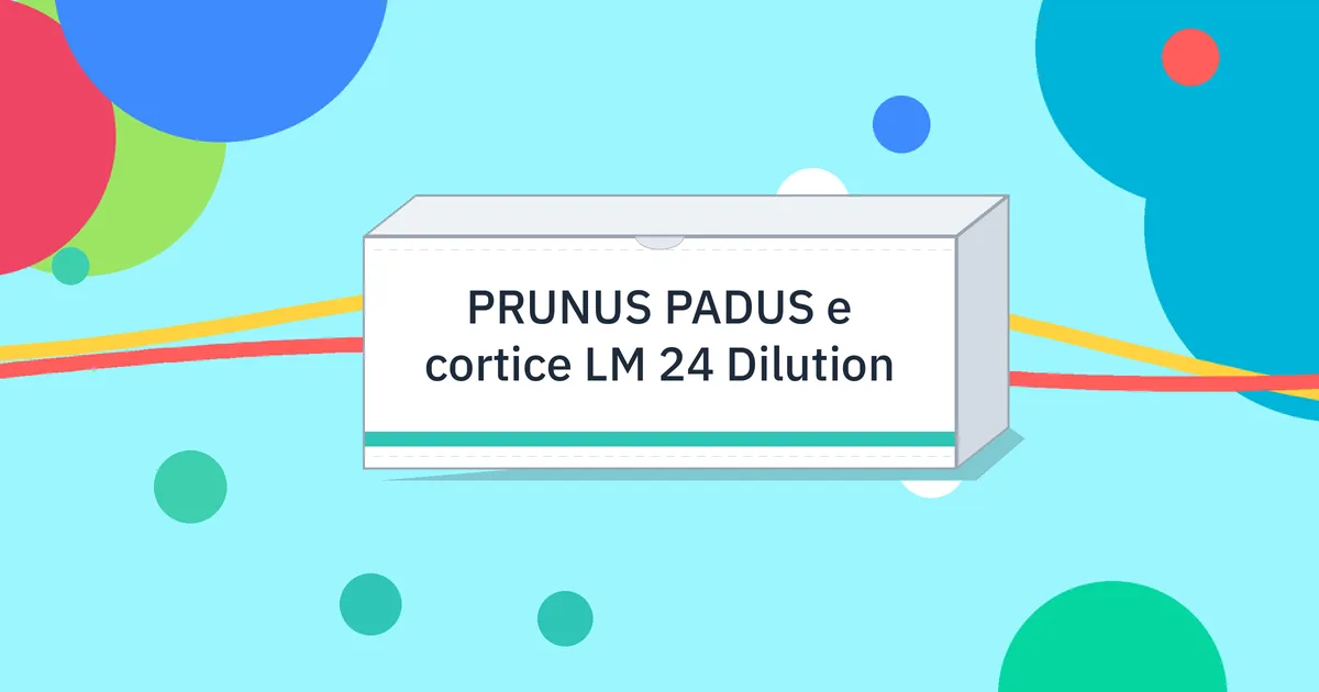 Symbolbild: Packung mit der Aufschrift PRUNUS PADUS e cortice LM 24 Dilution (PZN 13669532) – Verfügbarkeit und Bezug in Apotheken in Frankfurt am Main