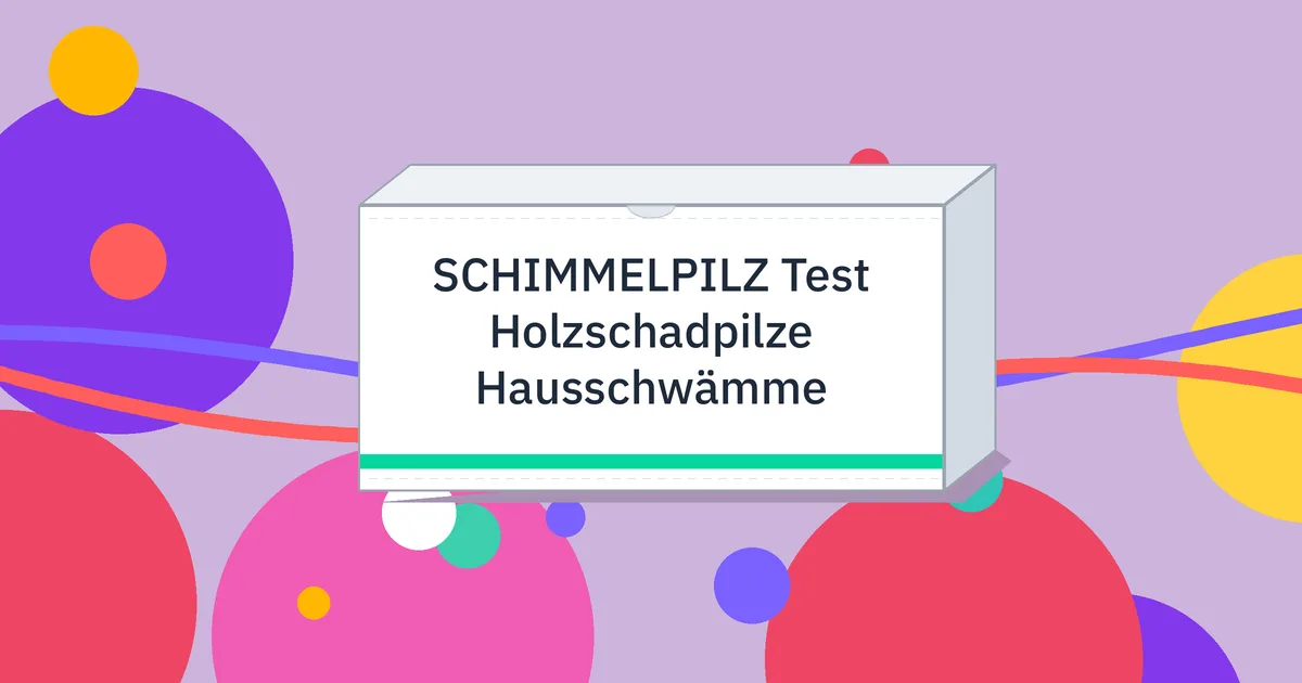 Symbolbild: Packung mit der Aufschrift SCHIMMELPILZ Test Holzschadpilze Hausschwämme (PZN 19339913) – Verfügbarkeit und Bezug in Apotheken in Frankfurt am Main