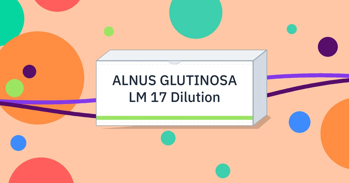 Symbolbild: Packung mit der Aufschrift ALNUS GLUTINOSA LM 17 Dilution (PZN 13312557) – Verfügbarkeit und Bezug in Apotheken in Frankfurt am Main