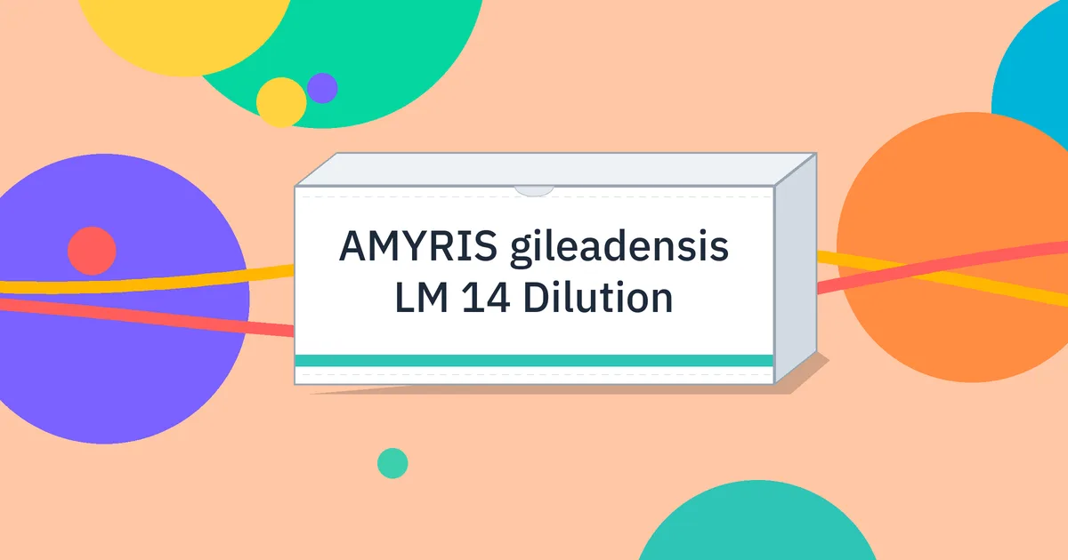 Symbolbild: Packung mit der Aufschrift AMYRIS gileadensis LM 14 Dilution (PZN 13326996) – Verfügbarkeit und Bezug in Apotheken in Frankfurt am Main