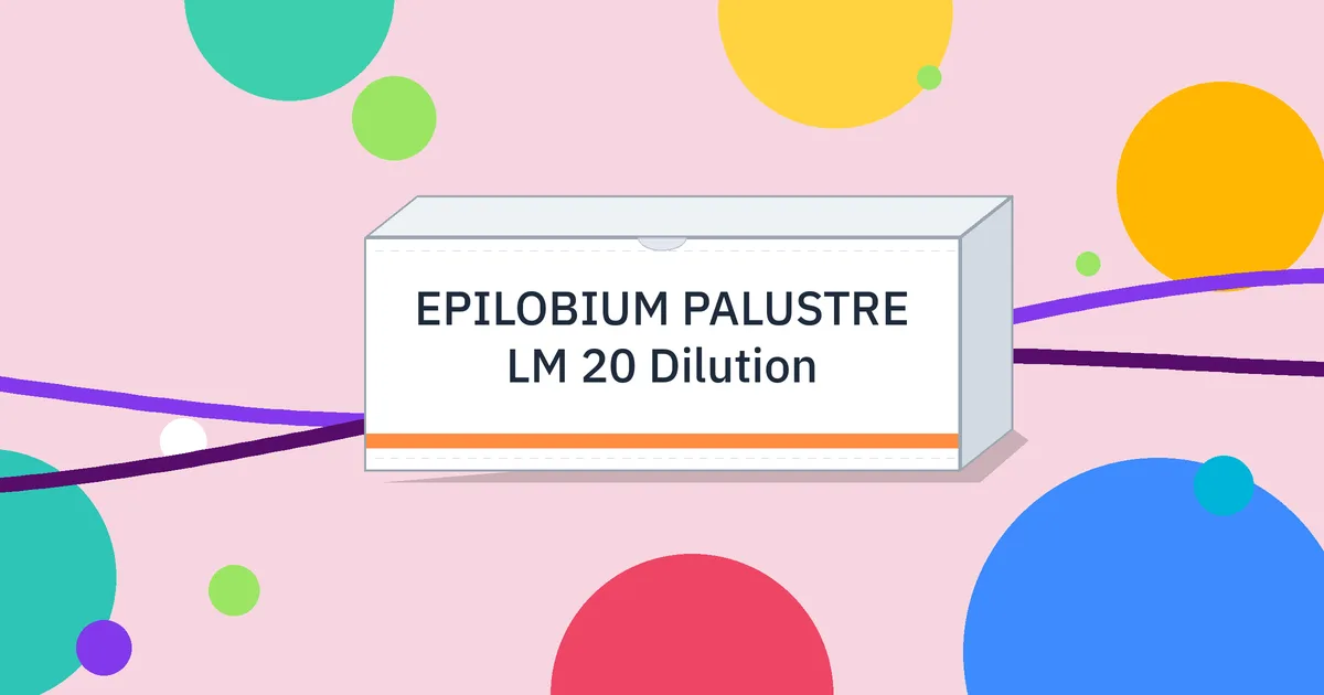 Symbolbild: Packung mit der Aufschrift EPILOBIUM PALUSTRE LM 20 Dilution (PZN 13472195) – Verfügbarkeit und Bezug in Apotheken in Frankfurt am Main
