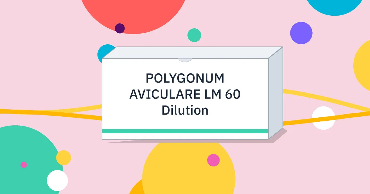 Symbolbild: Packung mit der Aufschrift POLYGONUM AVICULARE LM 60 Dilution (PZN 13662197) – Verfügbarkeit und Bezug in Apotheken in Frankfurt am Main
