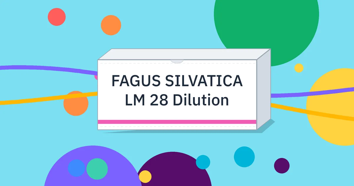 Symbolbild: Packung mit der Aufschrift FAGUS SILVATICA LM 28 Dilution (PZN 13487162) – Verfügbarkeit und Bezug in Apotheken in Frankfurt am Main