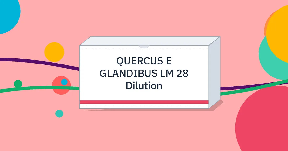 Symbolbild: Packung mit der Aufschrift QUERCUS E GLANDIBUS LM 28 Dilution (PZN 13674763) – Verfügbarkeit und Bezug in Apotheken in Frankfurt am Main