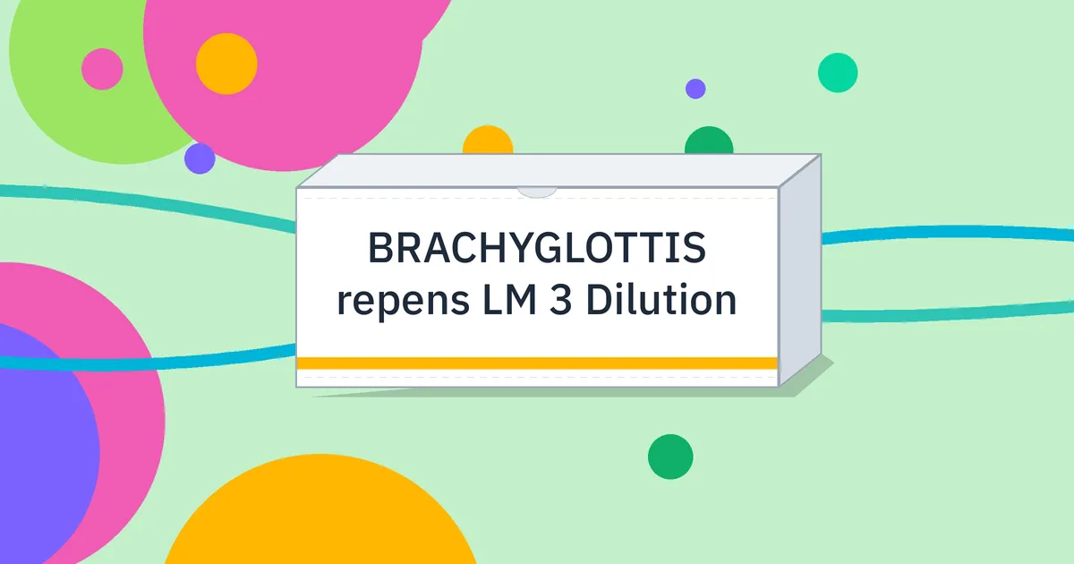 Symbolbild: Packung mit der Aufschrift BRACHYGLOTTIS repens LM 3 Dilution (PZN 13394644) – Verfügbarkeit und Bezug in Apotheken in Frankfurt am Main