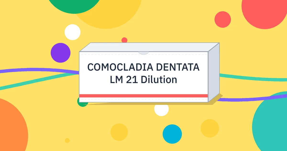 Symbolbild: Packung mit der Aufschrift COMOCLADIA DENTATA LM 21 Dilution (PZN 13449351) – Verfügbarkeit und Bezug in Apotheken in Frankfurt am Main